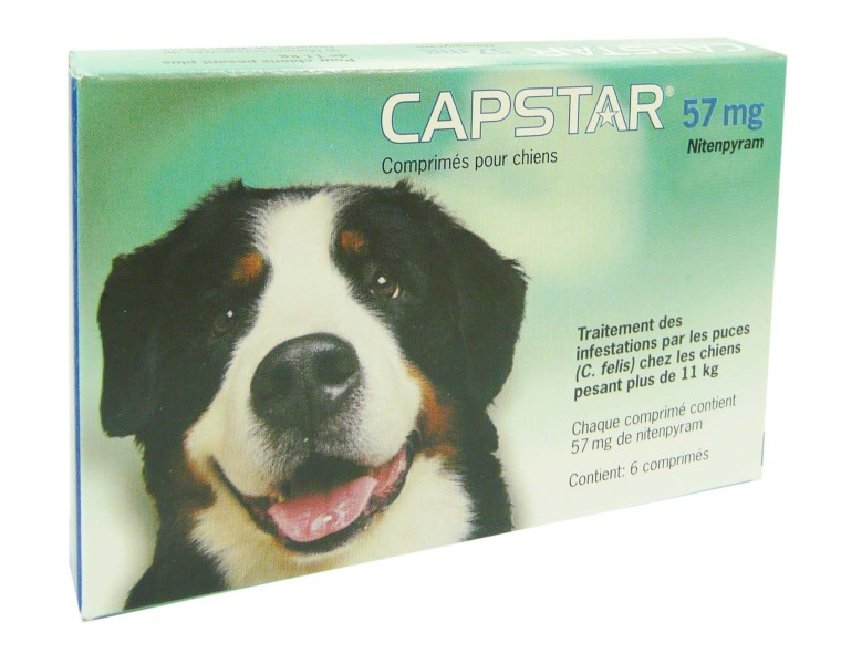 NSFP CAPSTAR CHIEN 57MG X6 COMPRIMES